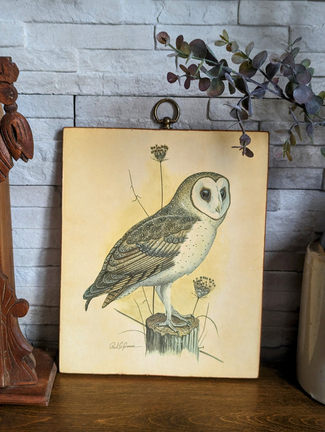Vintage Owl Print on Panel Paul C. Connor Wall Decoration - Etsy