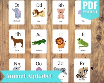 Abc Flash Cards - Etsy