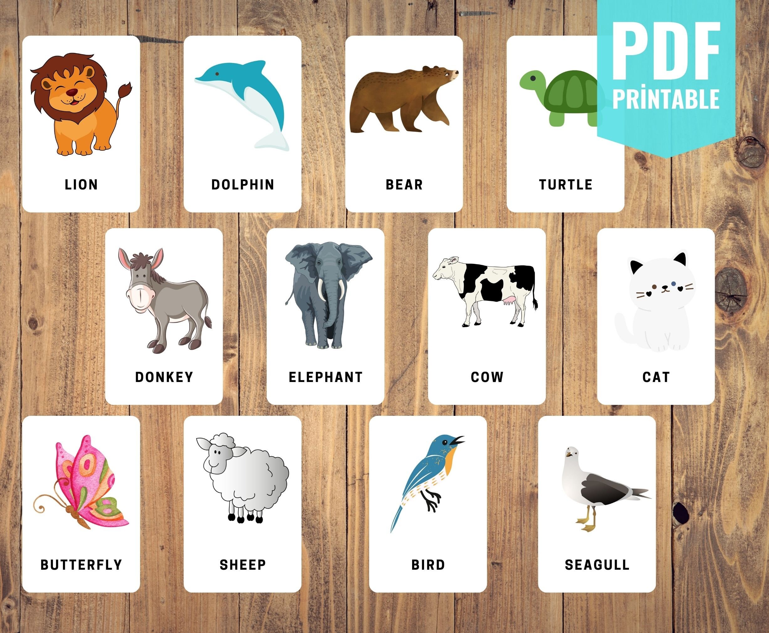 Animal Flash Cards Printable, 25 Montessori Cards, Education Material ...