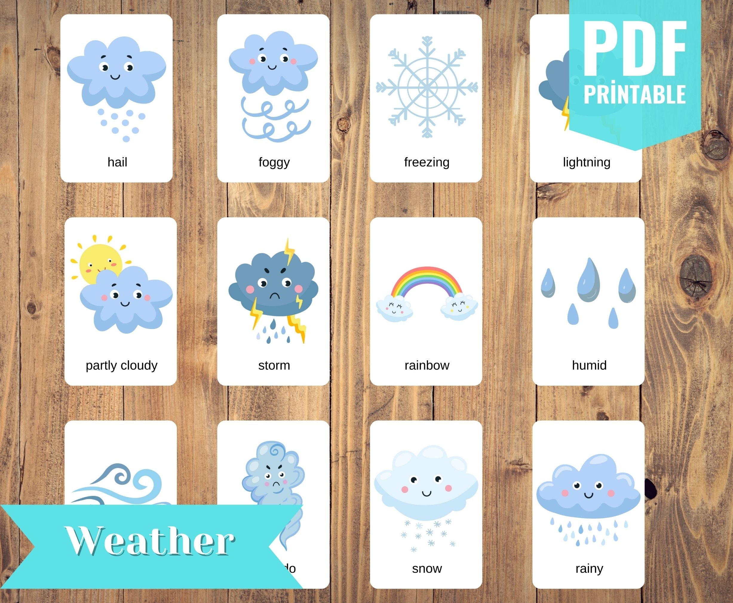Weather Flashcards, 13 Montessori Printable Educational Materials ...