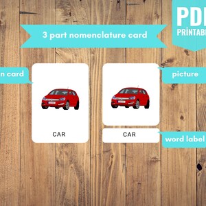 Animal Flash Cards Printable, 25 Montessori Cards, Education Material ...