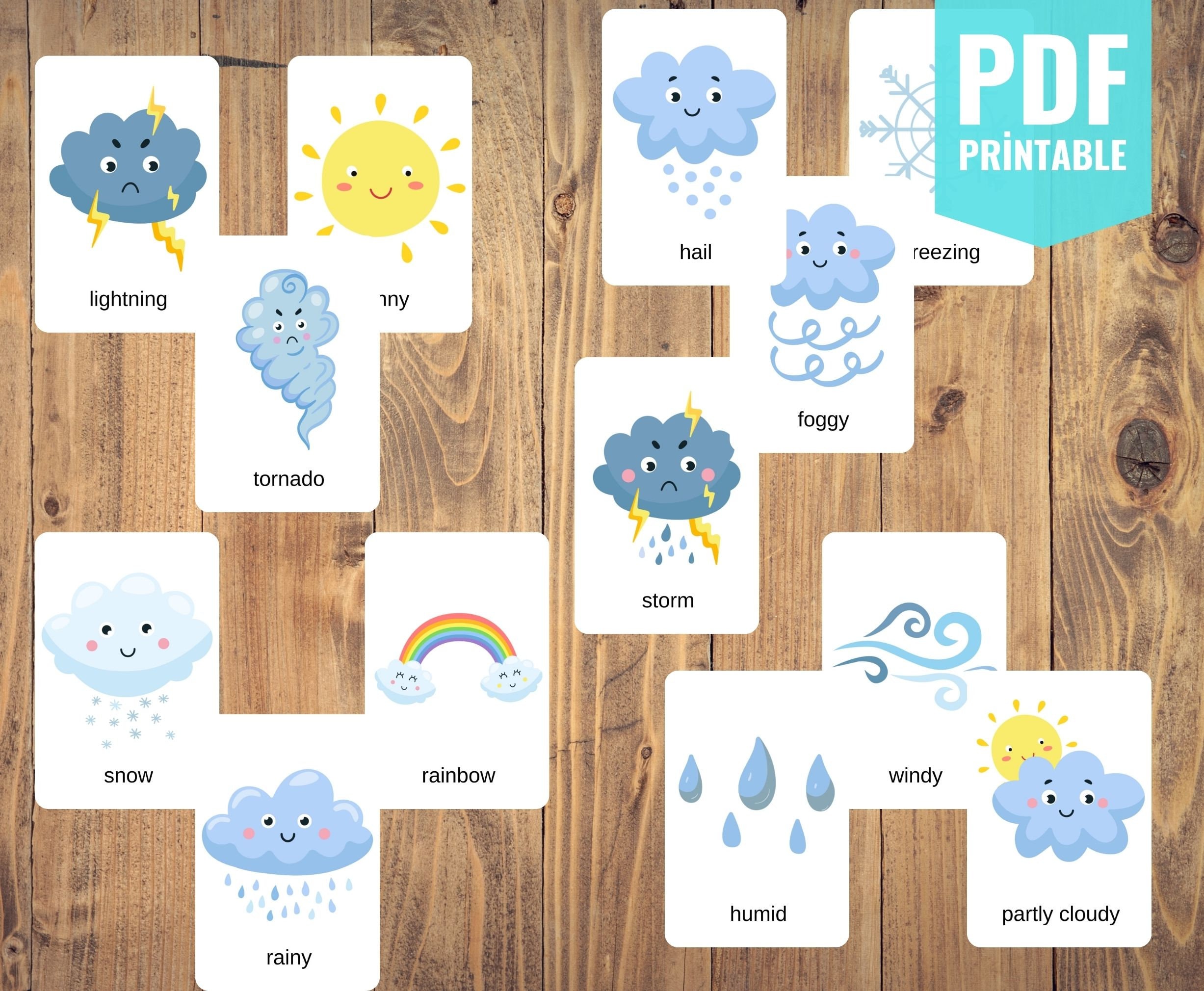 Weather Flashcards, 13 Montessori Printable Educational Materials ...