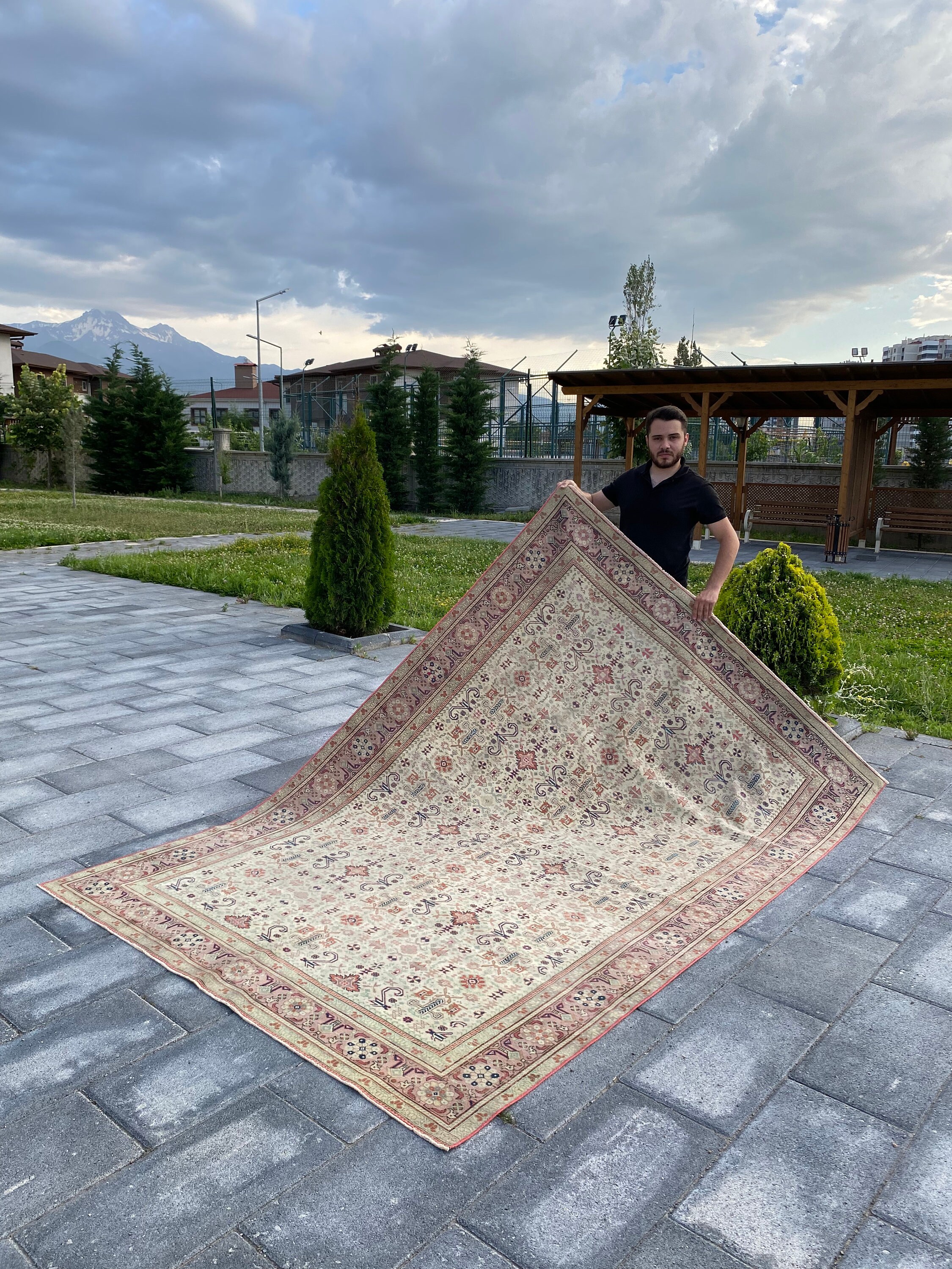 Large Persian Rug / %100 Wool Rug / Beige Persian Rug / - Etsy
