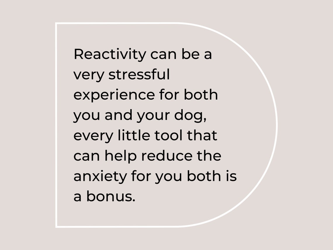 Reactive Dog Behaviour Tracker, Dog Training List, Dog Behaviour ...