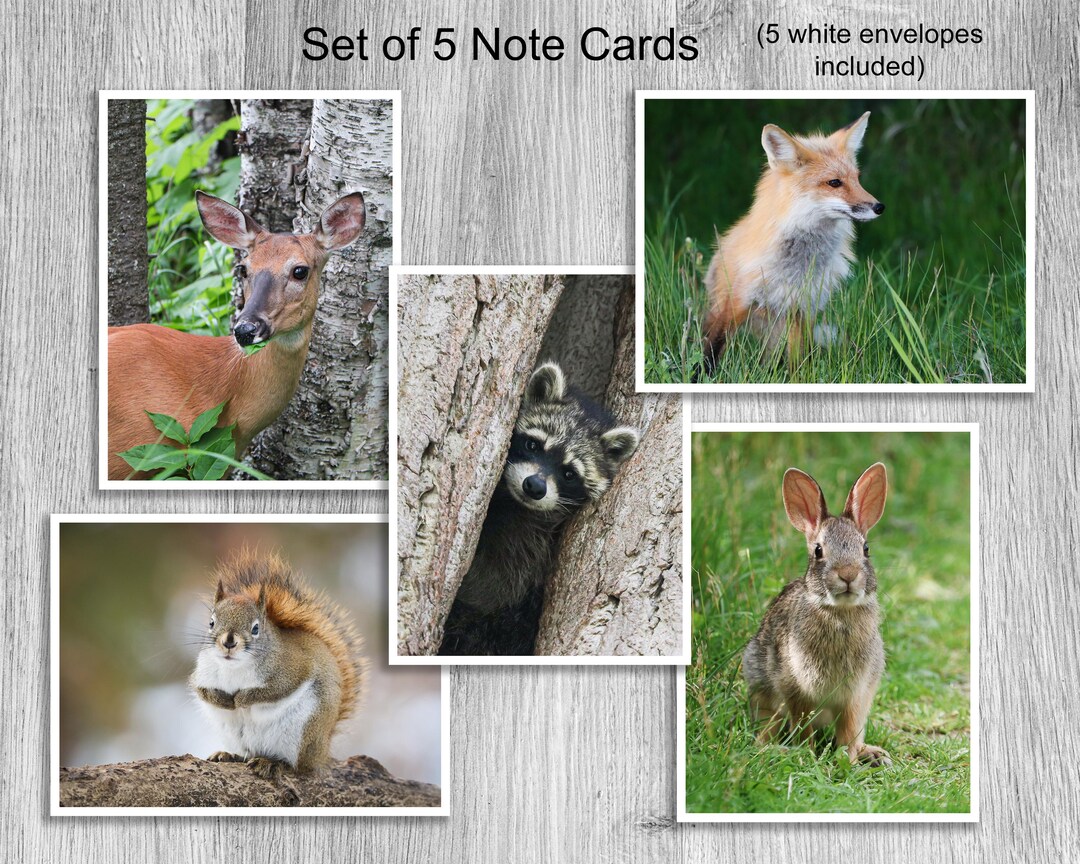 Woodland Animals Note Card Set WA1, Wildlife Birthday Card, Thinking of ...