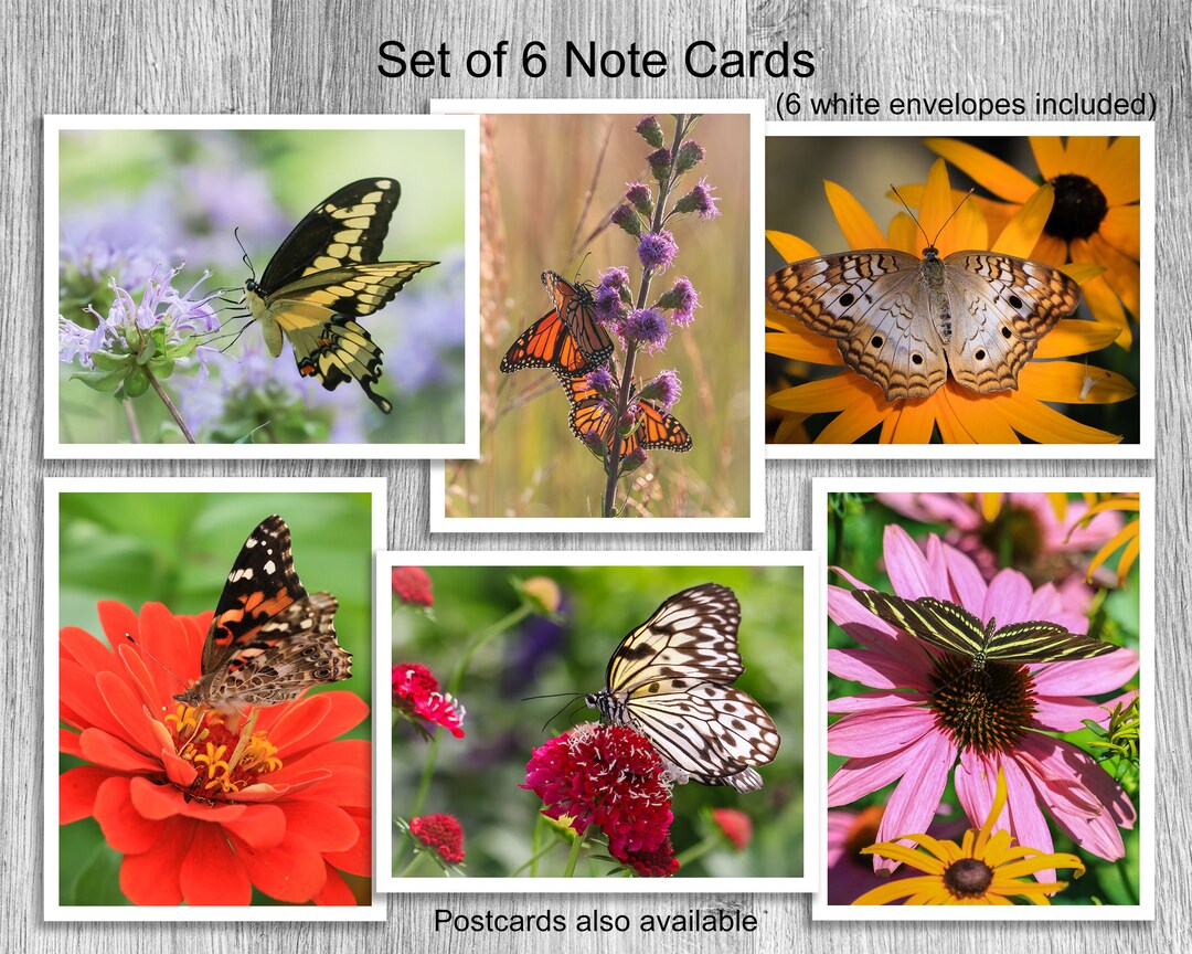 Butterfly Note Card Set Mothers Day Card Birthday Gift Teacher Gift ...