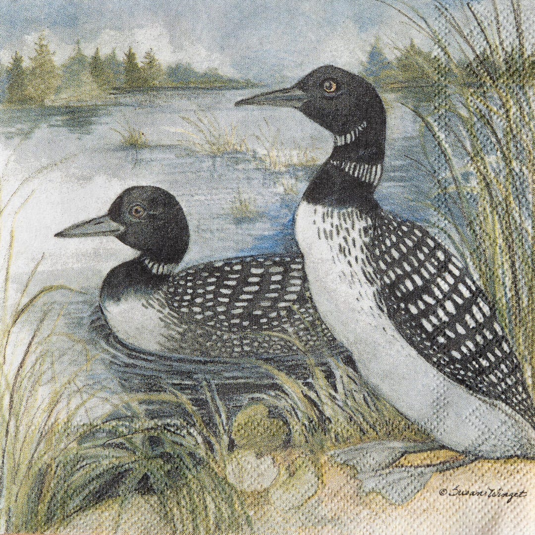 Loon Bird Paper Napkins for Decoupage and Paper Crafts Cocktail Size (2 ...