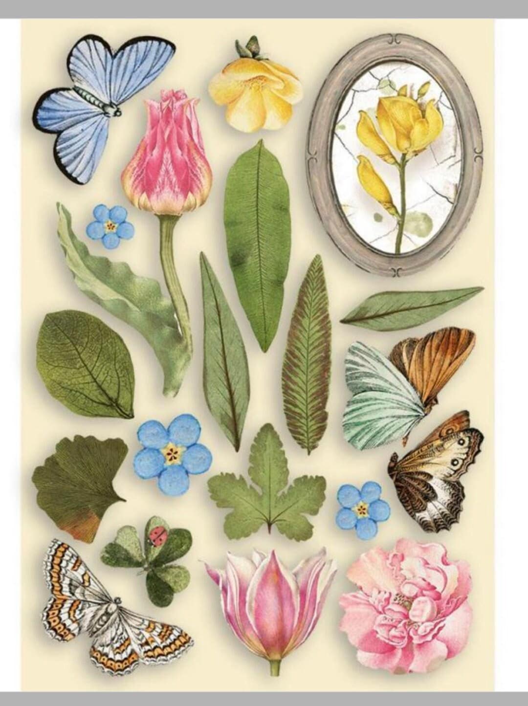 Stamperia Colored Wooden Shape A5 - Garden House - Etsy