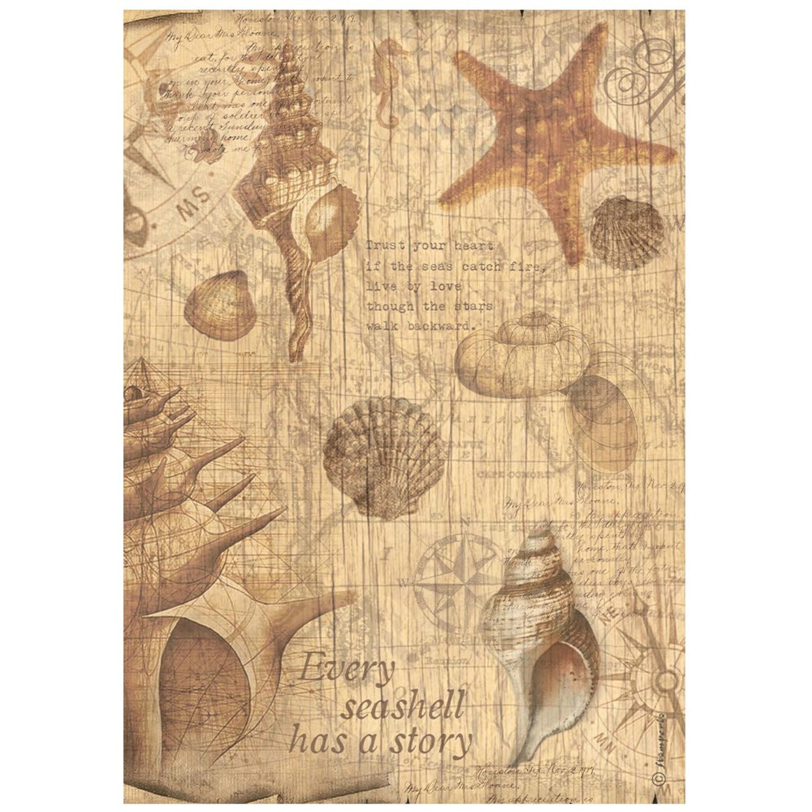 Stamperia A4 Rice Paper Packed - Sea Land Shells - Etsy