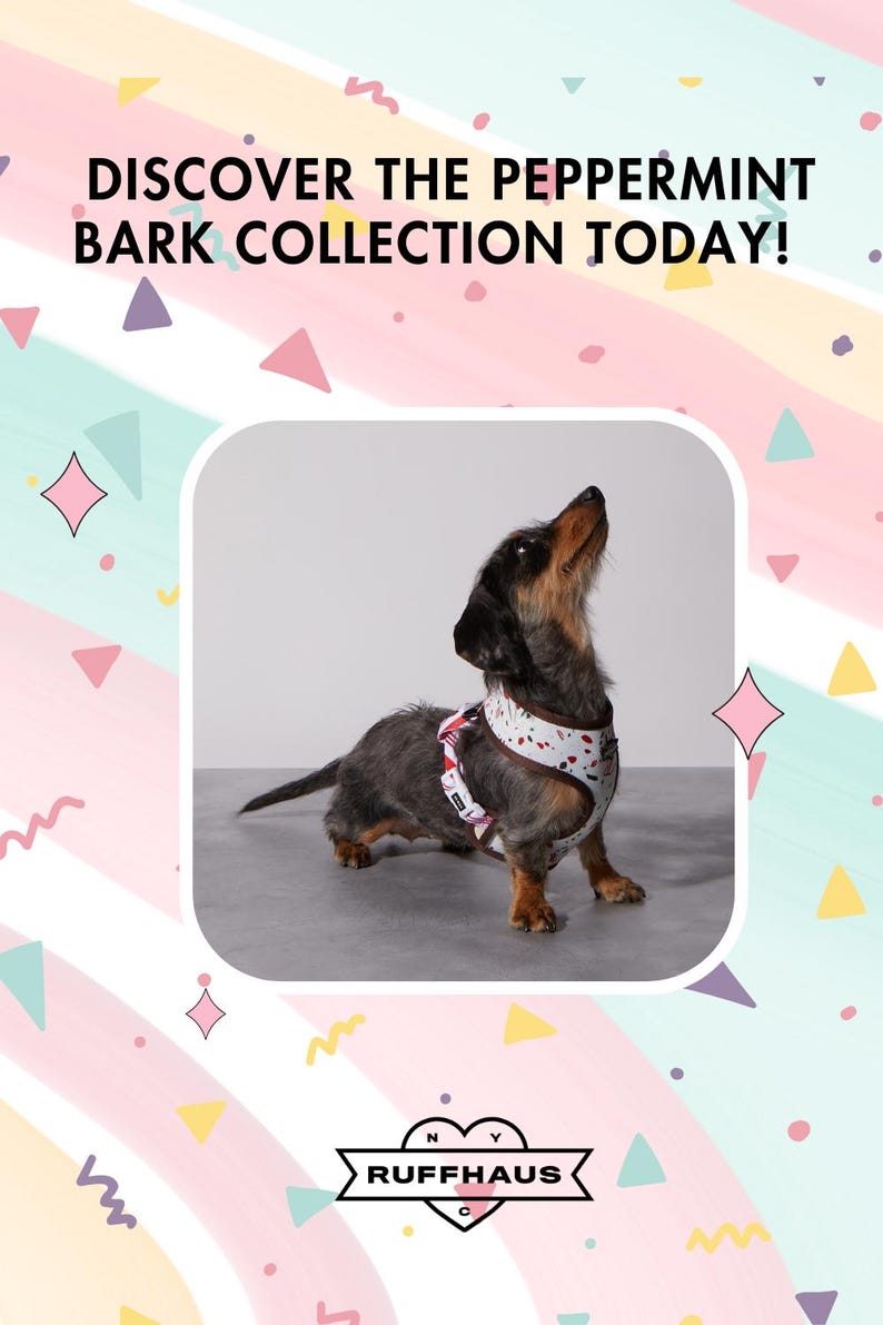 Peppermint Bark Dog Harness: Holiday Christmas Pet Vest - Etsy