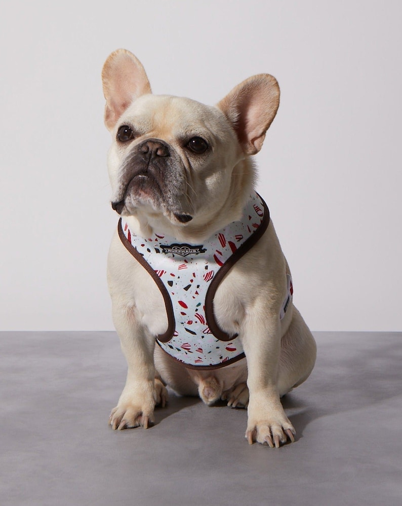 Peppermint Bark Dog Harness: Holiday Christmas Pet Vest - Etsy