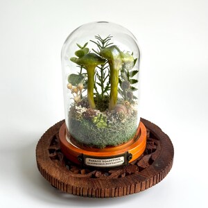 Handmade Parrot Toadstool Webcap Mushroom in Glass Cloche. - Etsy