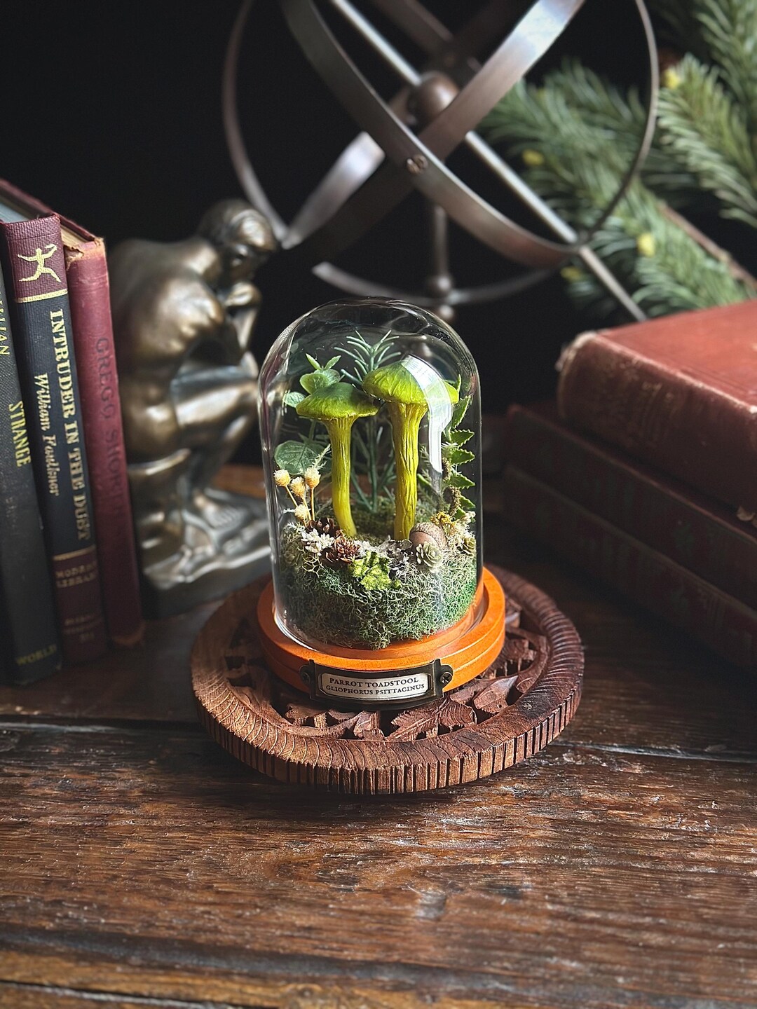 Handmade Parrot Toadstool Webcap Mushroom in Glass Cloche. - Etsy
