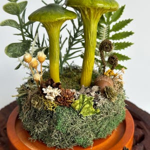 Handmade Parrot Toadstool Webcap Mushroom in Glass Cloche. - Etsy