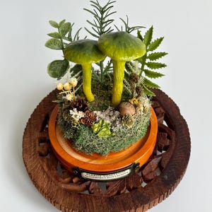 Handmade Parrot Toadstool Webcap Mushroom in Glass Cloche. - Etsy