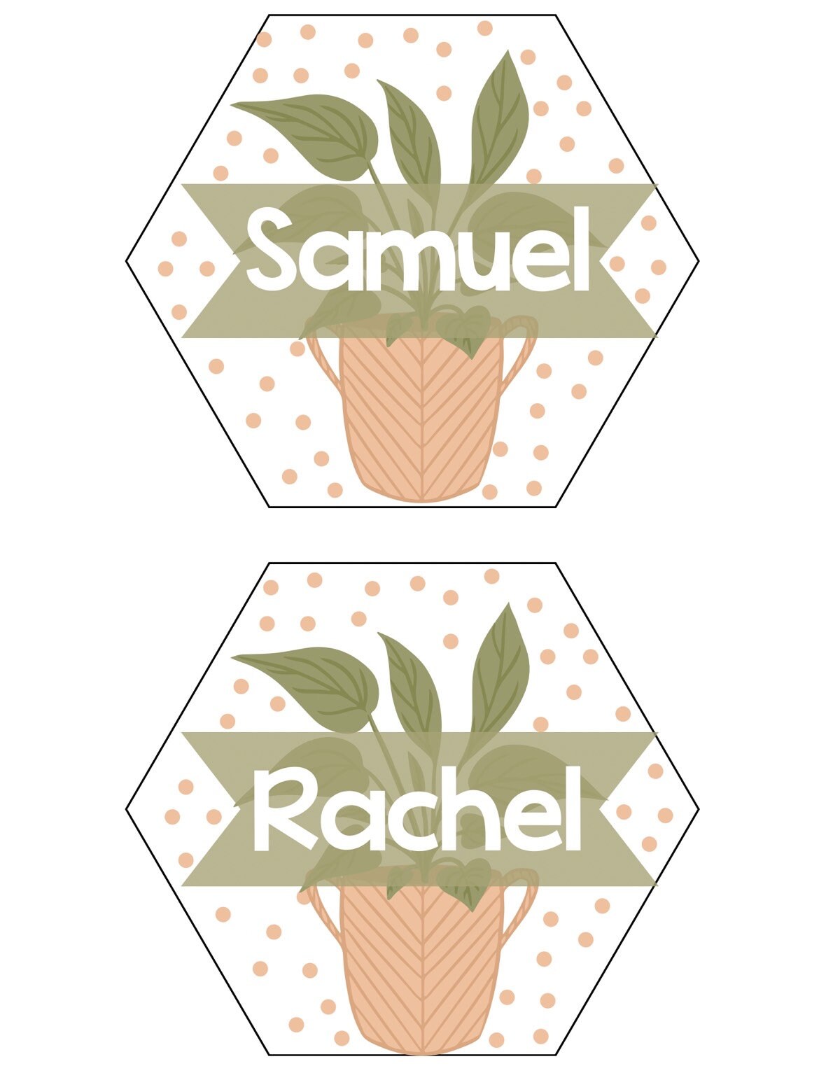 We Are Ready to Grow Bulletin Board Kit, EDITABLE Plant Name Labels ...