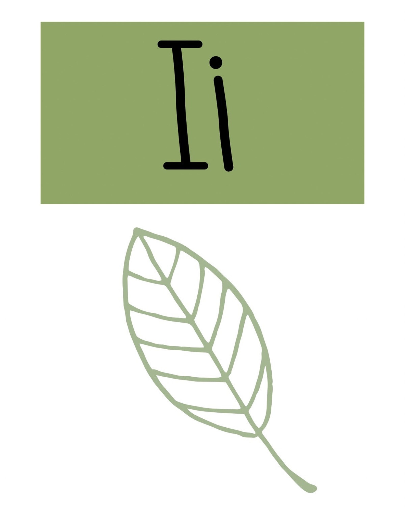 BOHO PLANT Alphabet Posters Neutral Rainbow Classroom Decor - Etsy