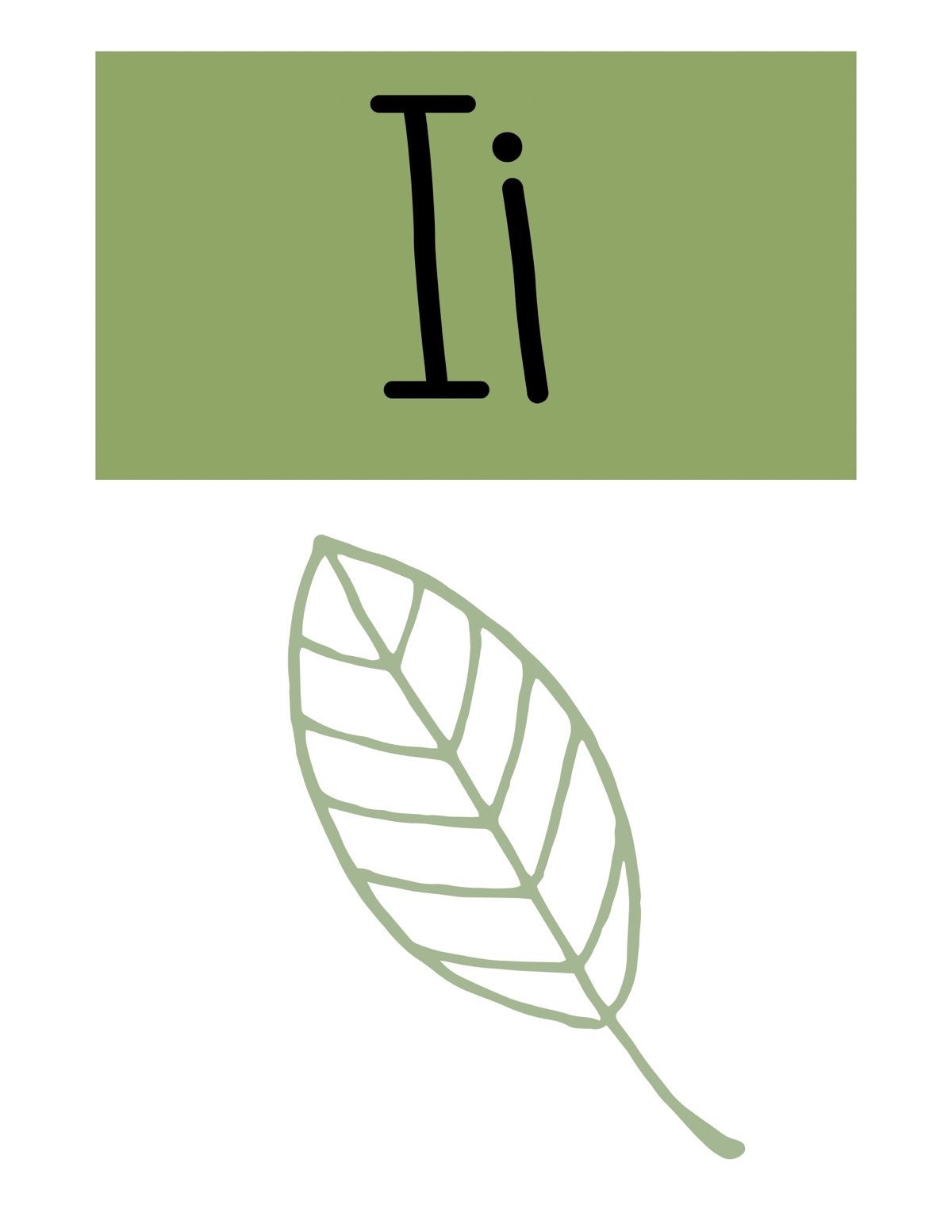 BOHO PLANT Alphabet Posters | Neutral Rainbow Classroom Decor | Digital ...