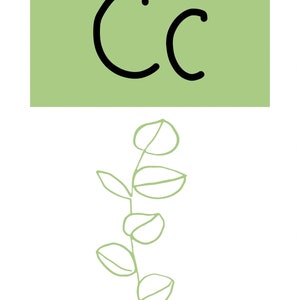 BOHO PLANT Alphabet Posters | Neutral Rainbow Classroom Decor | Digital ...