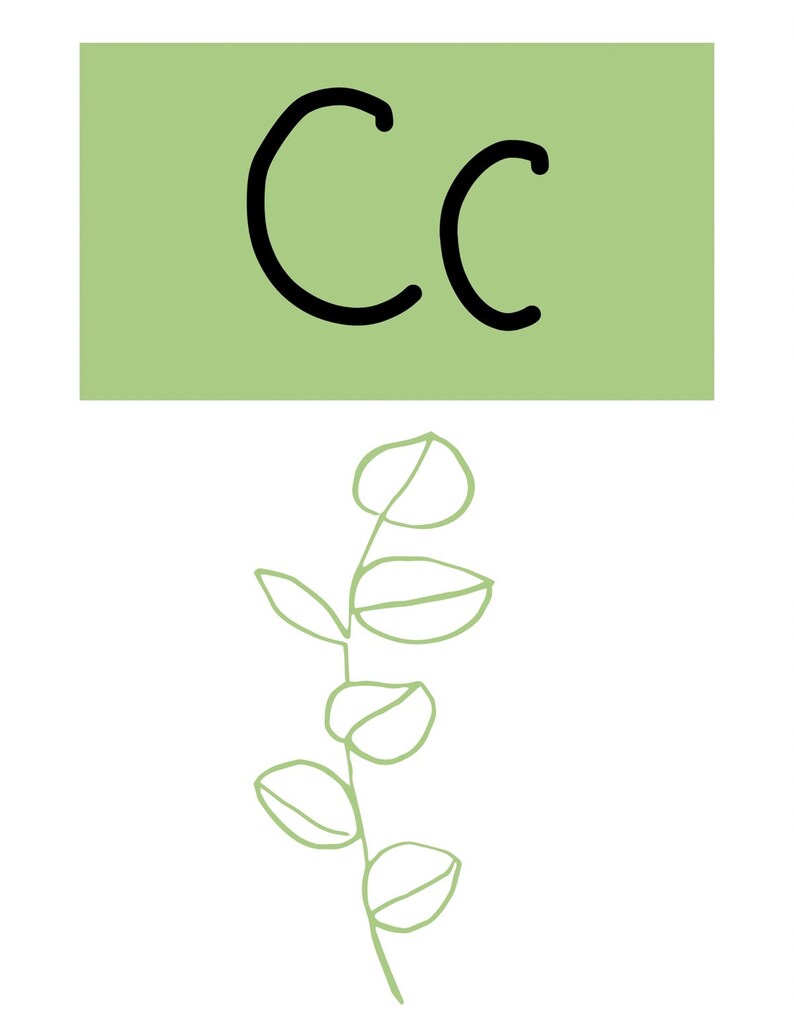 BOHO PLANT Alphabet Posters | Neutral Rainbow Classroom Decor | Digital ...