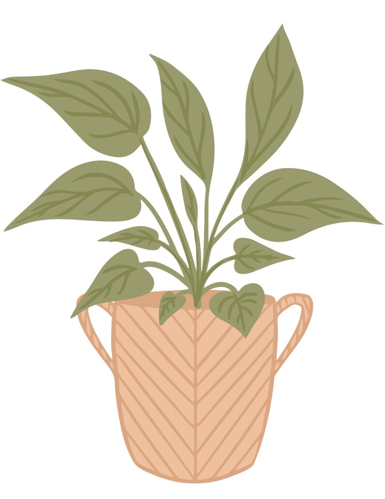 We Are Ready to Grow Bulletin Board Kit, EDITABLE Plant Name Labels ...