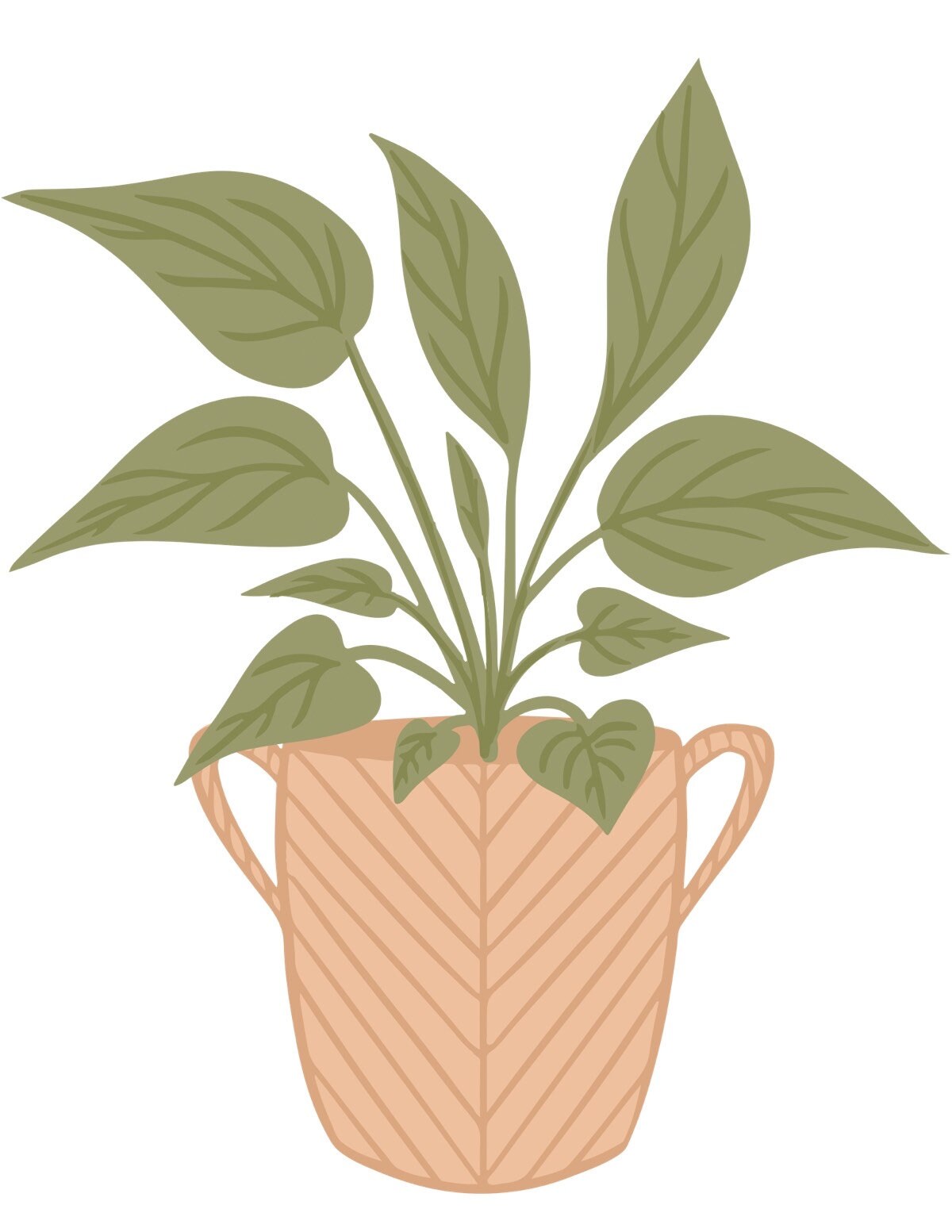 We Are Ready to Grow Bulletin Board Kit, EDITABLE Plant Name Labels ...