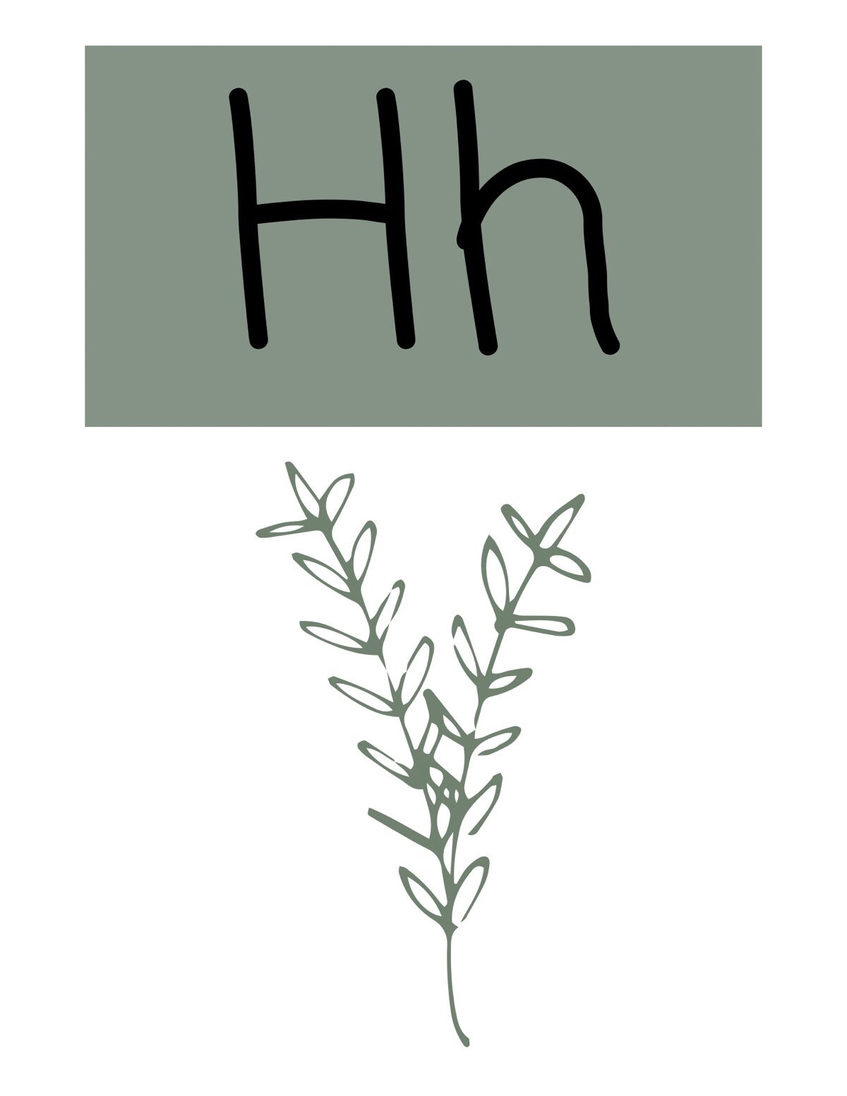 BOHO PLANT Alphabet Posters Neutral Rainbow Classroom Decor - Etsy