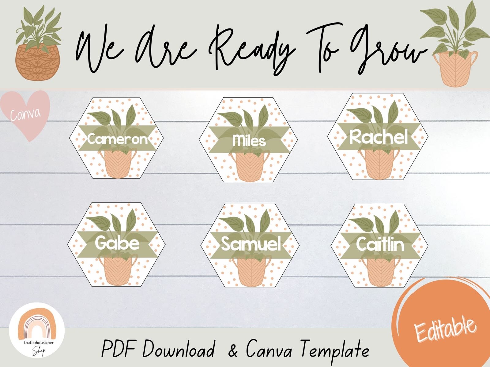We Are Ready to Grow Bulletin Board Kit, EDITABLE Plant Name Labels ...