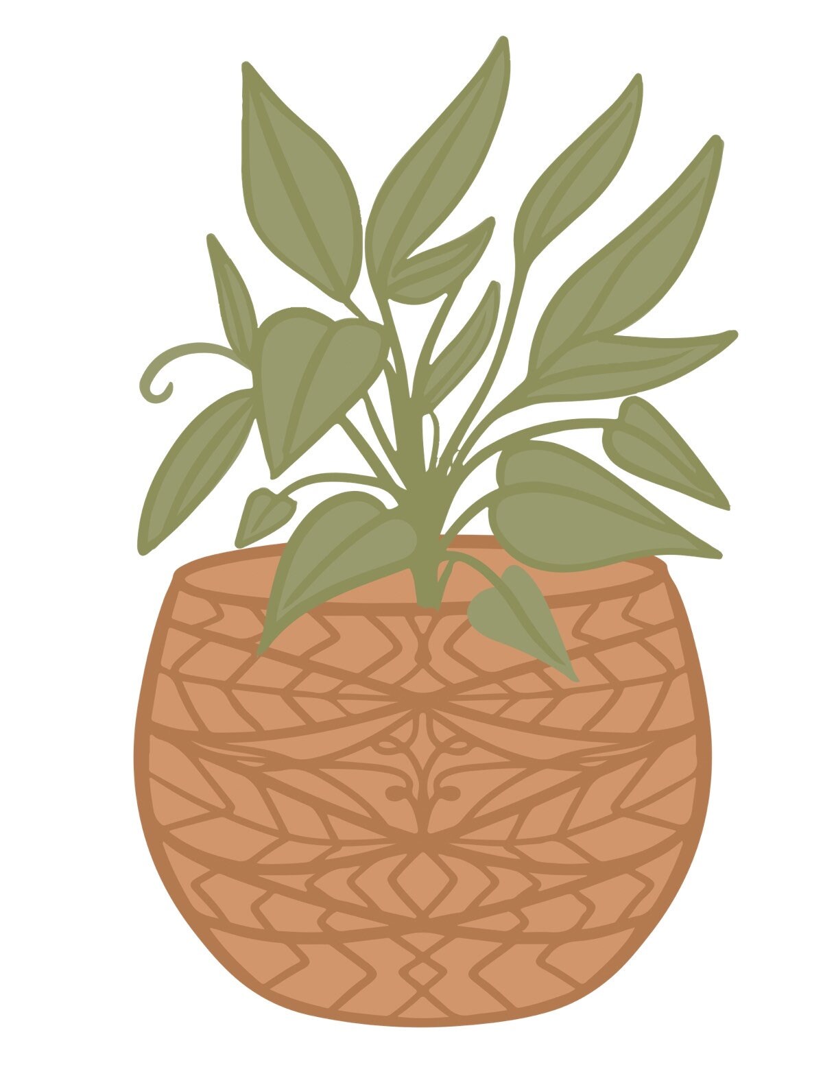 We Are Ready to Grow Bulletin Board Kit, EDITABLE Plant Name Labels ...