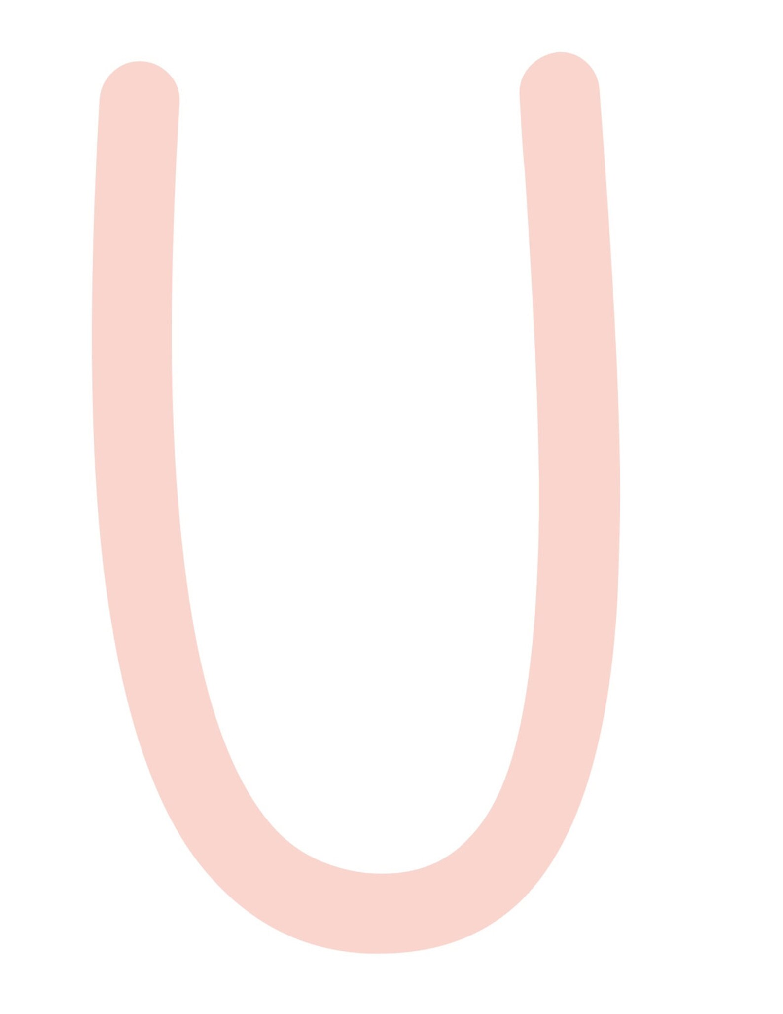 Class Birthdays Printable Posters Boho Rainbow, EDITABLE, Classroom ...