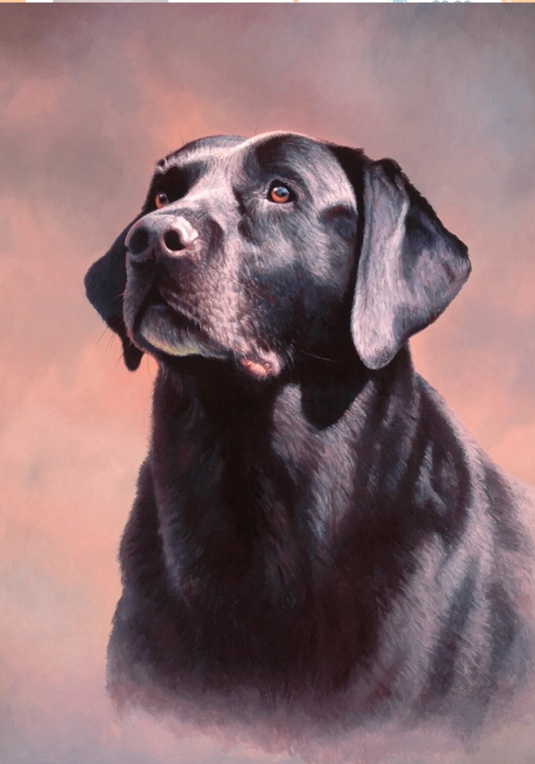 Black Lab Fabric Panel Digitally Printed 36"x44" From Four Seasons by ...