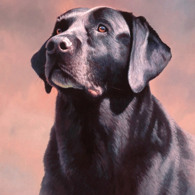 Dog Fabric Panels - Etsy