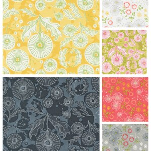 Dandi Duo Jelly Roll 40pcs by Robin Pickens for Moda 48750JR, Floral ...
