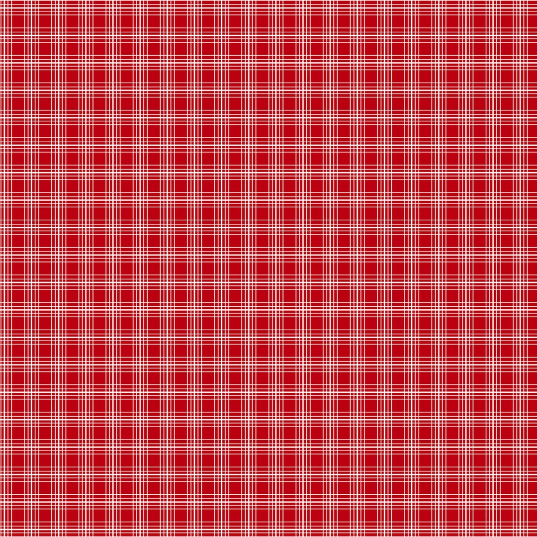 Raspberry Ripple Red Pencil Line Plaid 7343S-88 by Judy Gauthier for ...
