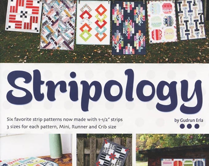 Stripology by Erica Gudrun for G. E. Design, 6 Favorite Strip Quilt ...