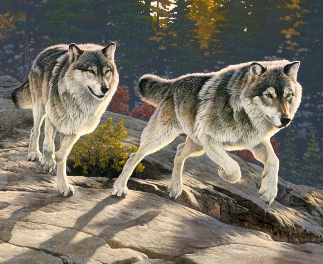 Light Brigade Wolf Fabric Panel 36"x44" by Four Seasons for Davids ...