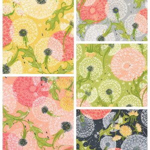 Dandi Duo Jelly Roll 40pcs by Robin Pickens for Moda 48750JR, Floral ...