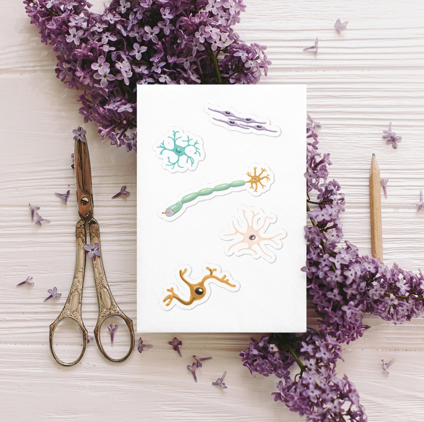 The Nervous System and Its Protagonist 5 Stickers - Etsy