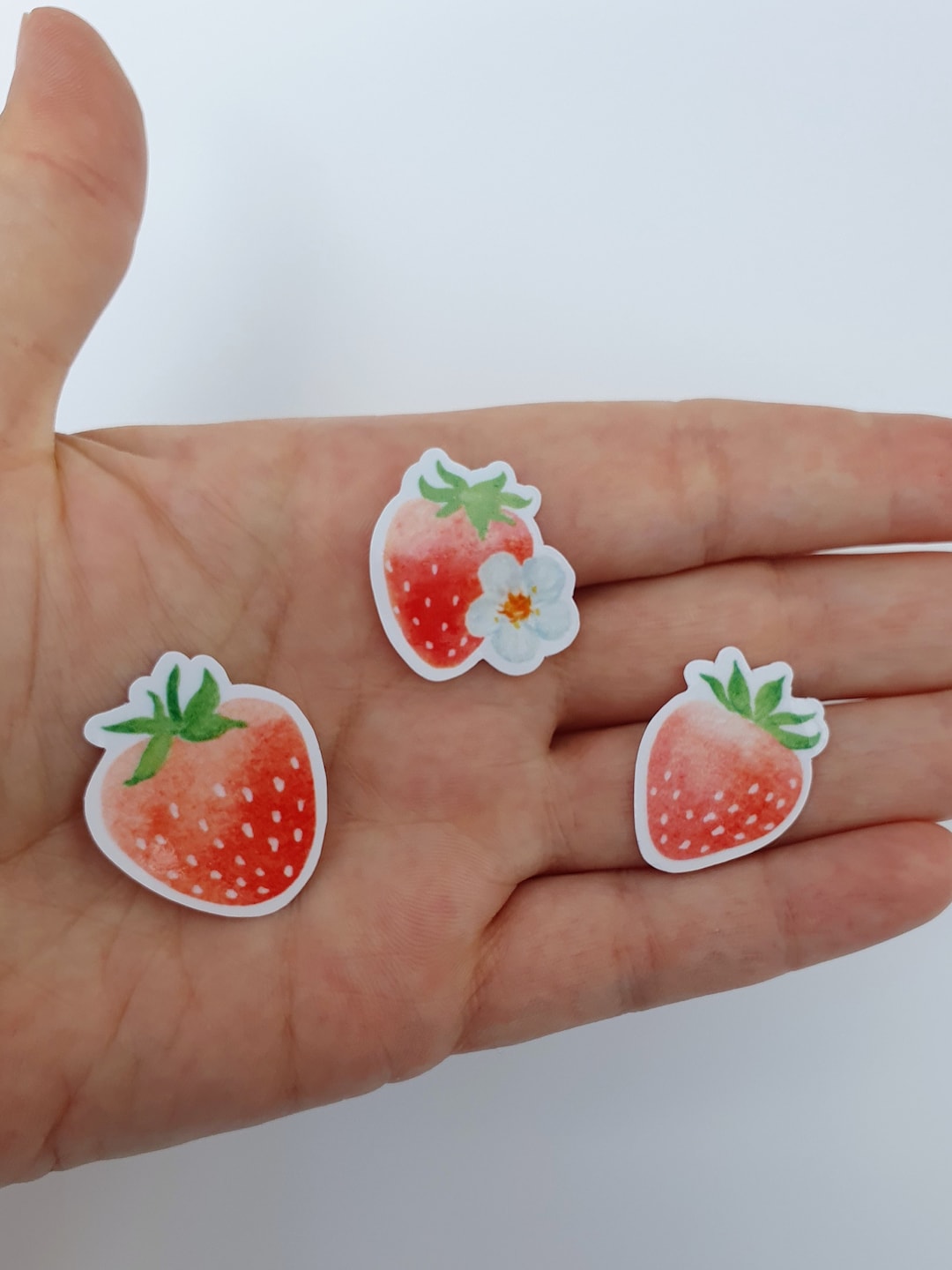 Strawberry Sticker, Waterproof Fruit Sticker, Strawberry Set - Etsy