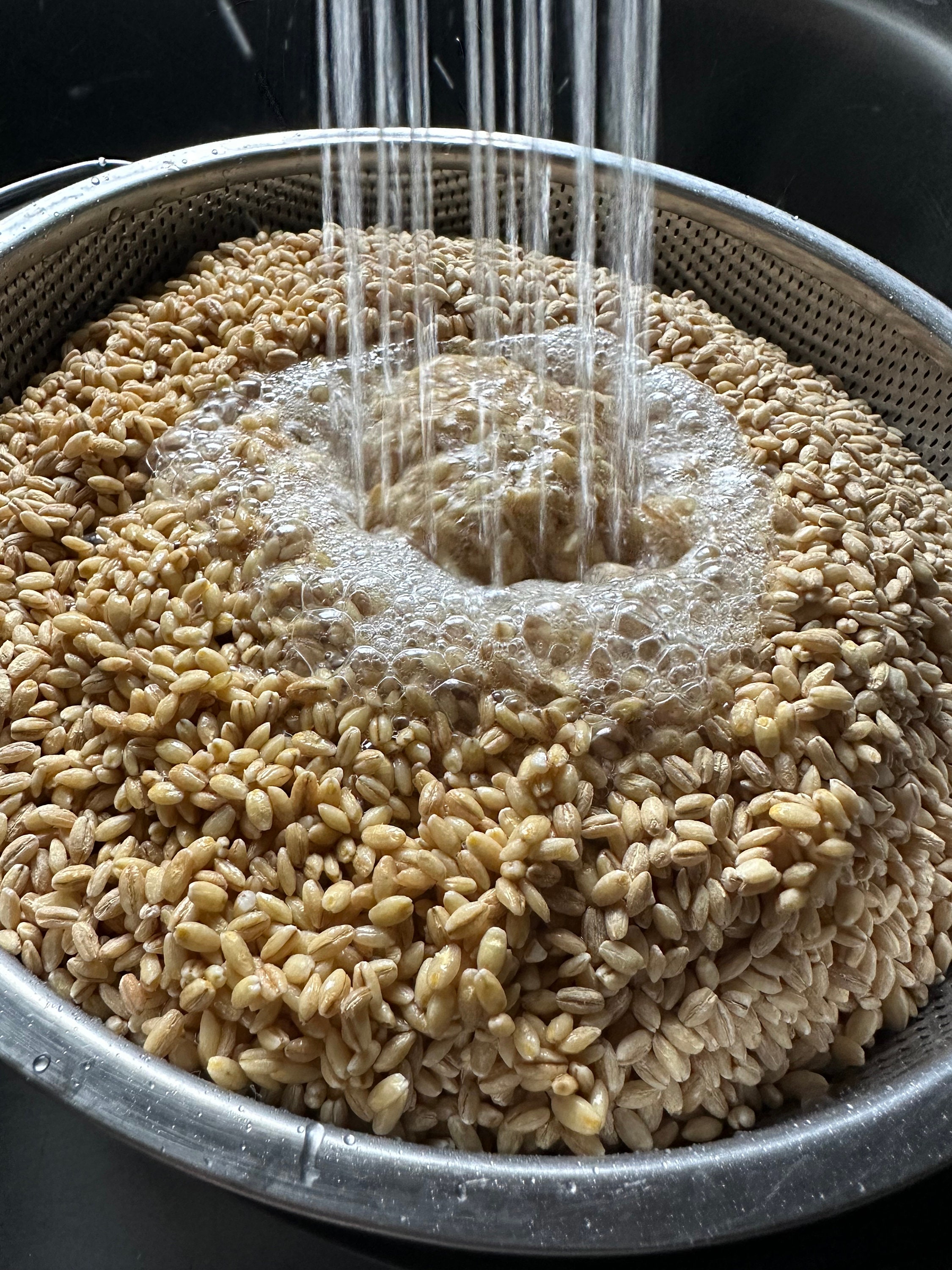 Organic Tibetan Roasted Barley Flour (tsampa) - Etsy