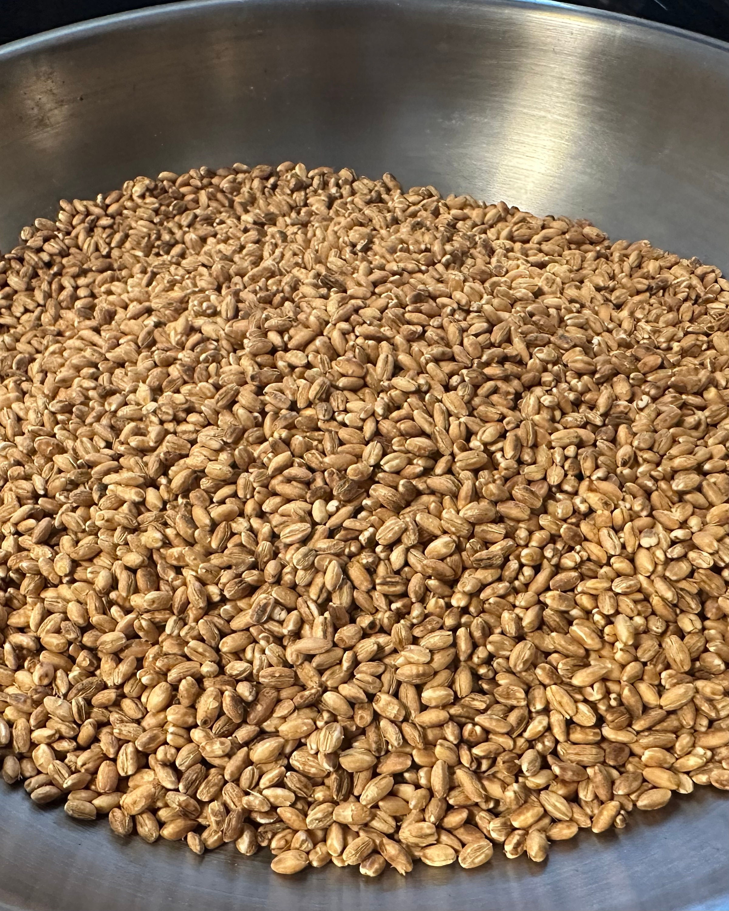 Organic Tibetan Roasted Barley Flour (tsampa) - Etsy