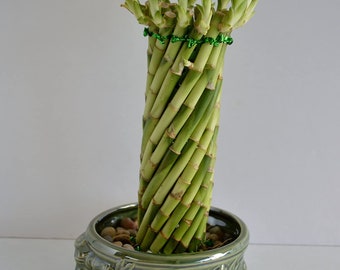Twisted Bamboo Vase - Etsy