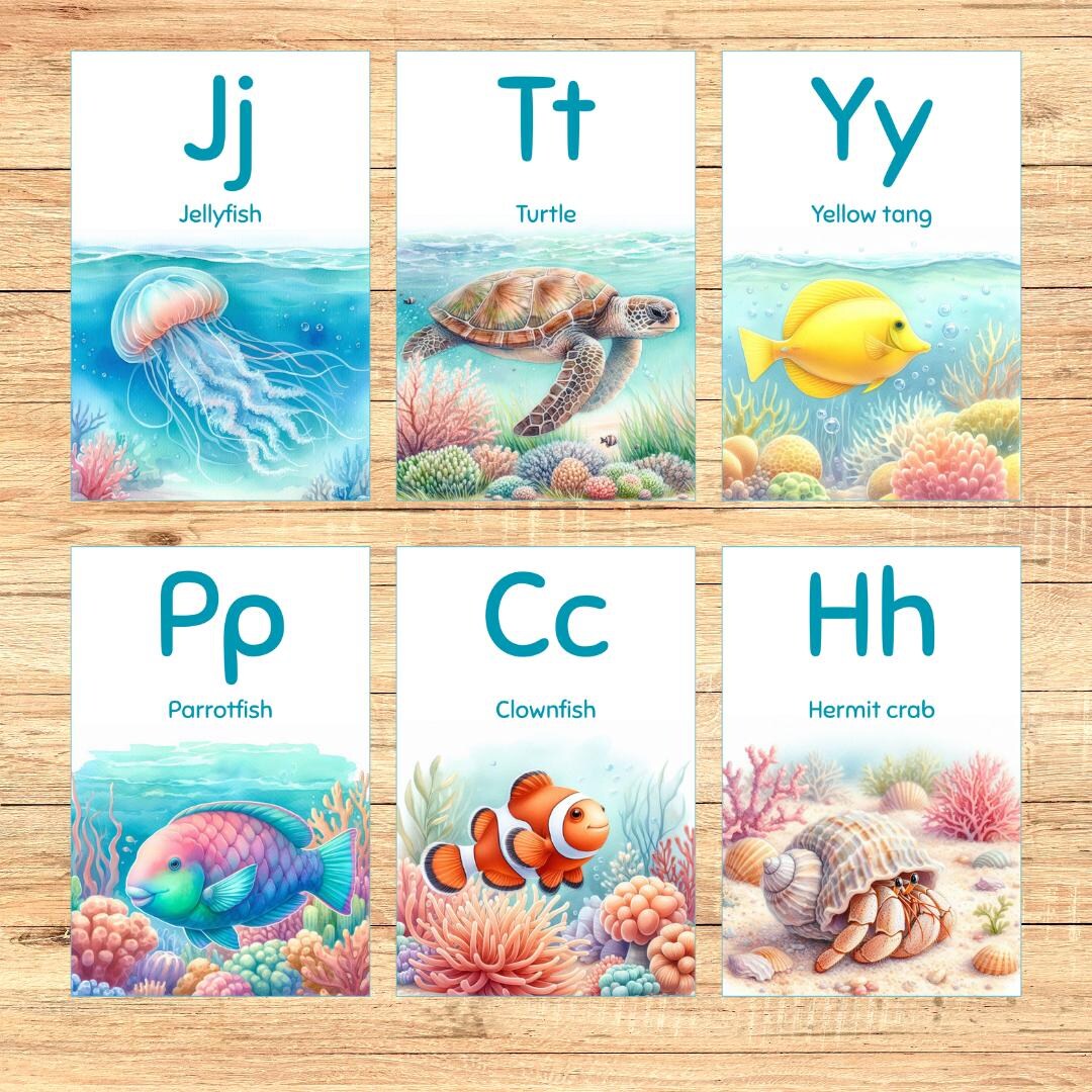 Ocean ABC Flashcards | Maldives Sea Creatures Alphabet Cards | Pastel ...