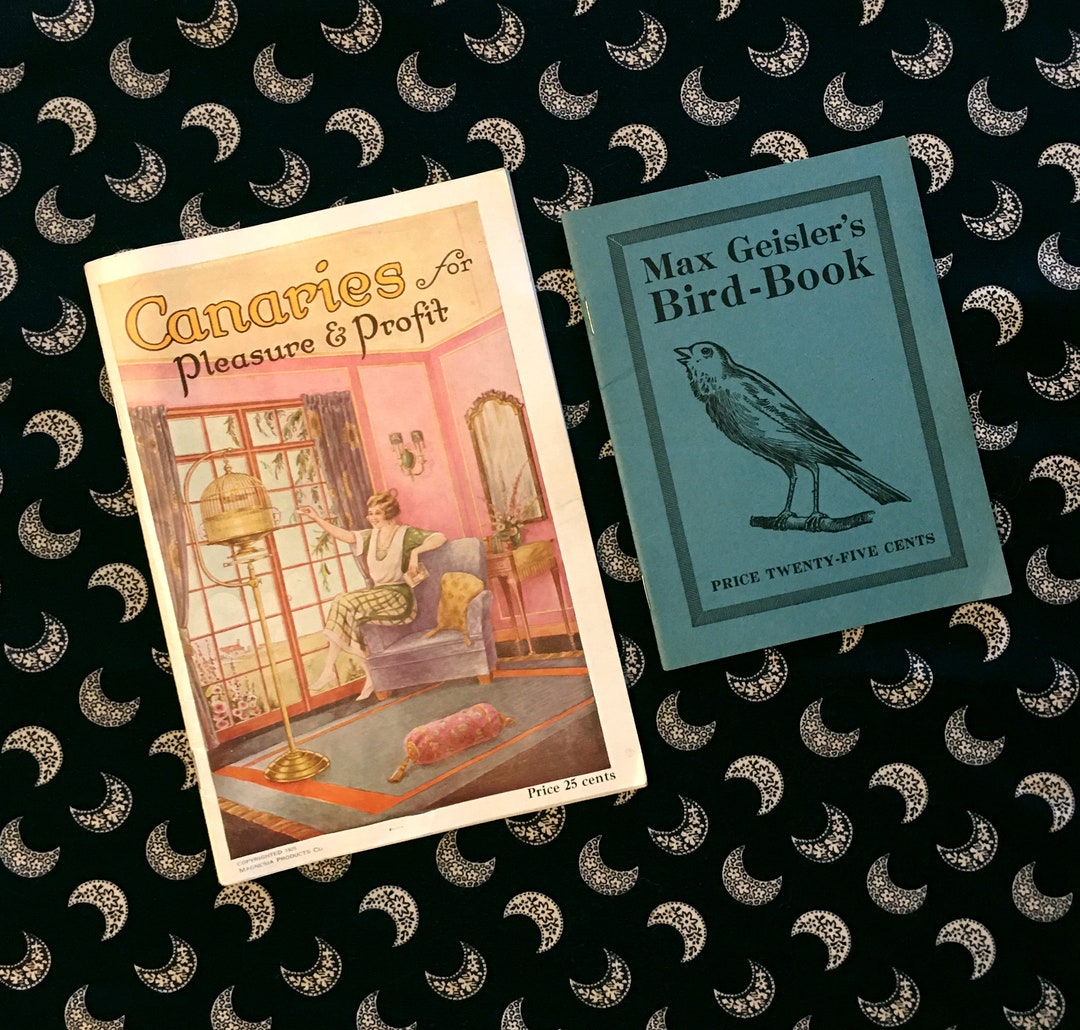 Vintage 1910s 1920s Bird Booklet Set Canaries for Pleasure & Profit and ...
