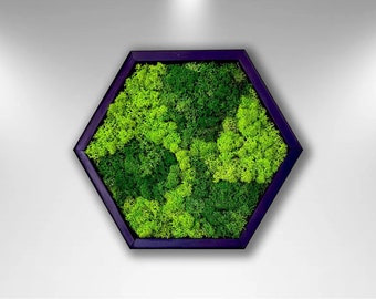 Moss Pattern Wall Art Real Moss, Zero Maintenance Eco-friendly Natural ...