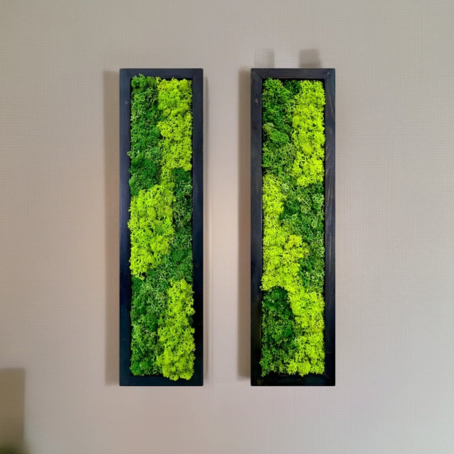 Moss Pattern Wall Art Real Moss, Zero Maintenance Eco-friendly Natural ...