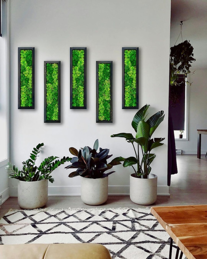 Moss Pattern Wall Art Real Moss, Zero Maintenance Eco-friendly Natural ...