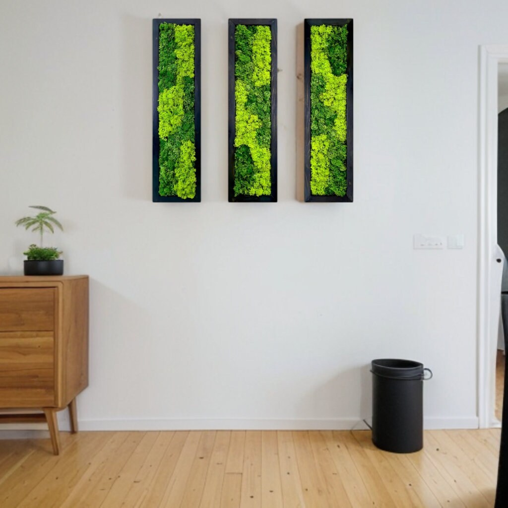Moss Pattern Wall Art Real Moss, Zero Maintenance Eco-friendly Natural ...