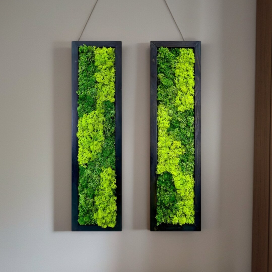 Moss Pattern Wall Art Real Moss, Zero Maintenance Eco-friendly Natural ...