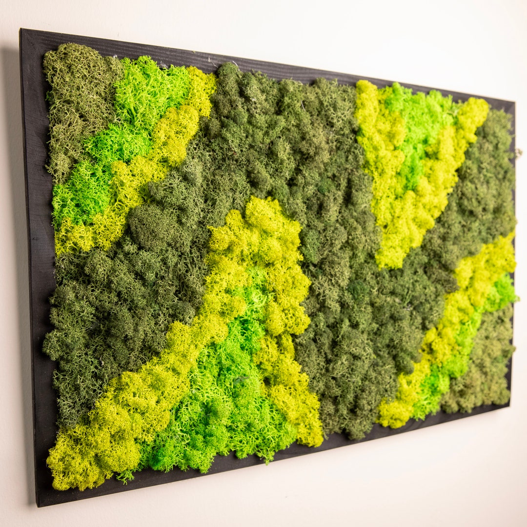 Moss Pattern Wall Art Real Moss, Zero Maintenance Eco-friendly Natural ...